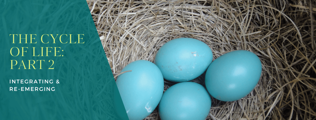 Life Death Rebirth Cycle