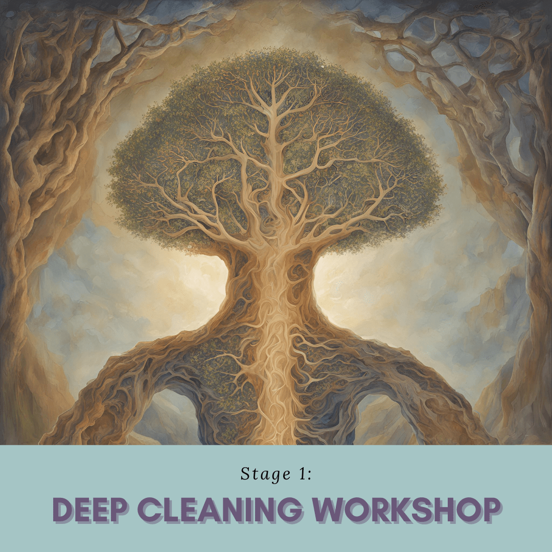 Stage 1: Deep Cleaning Workshop